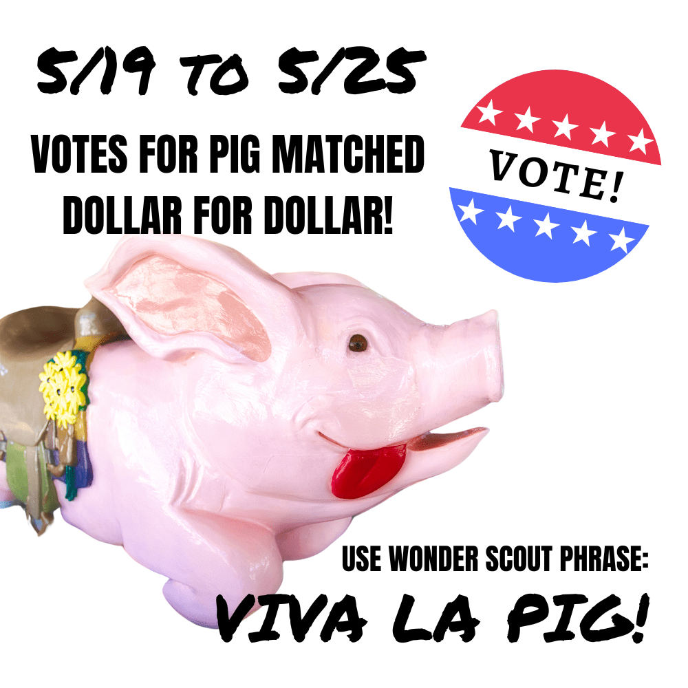 Will Lion be the next Mayor? Pig is trying to steal the race ...